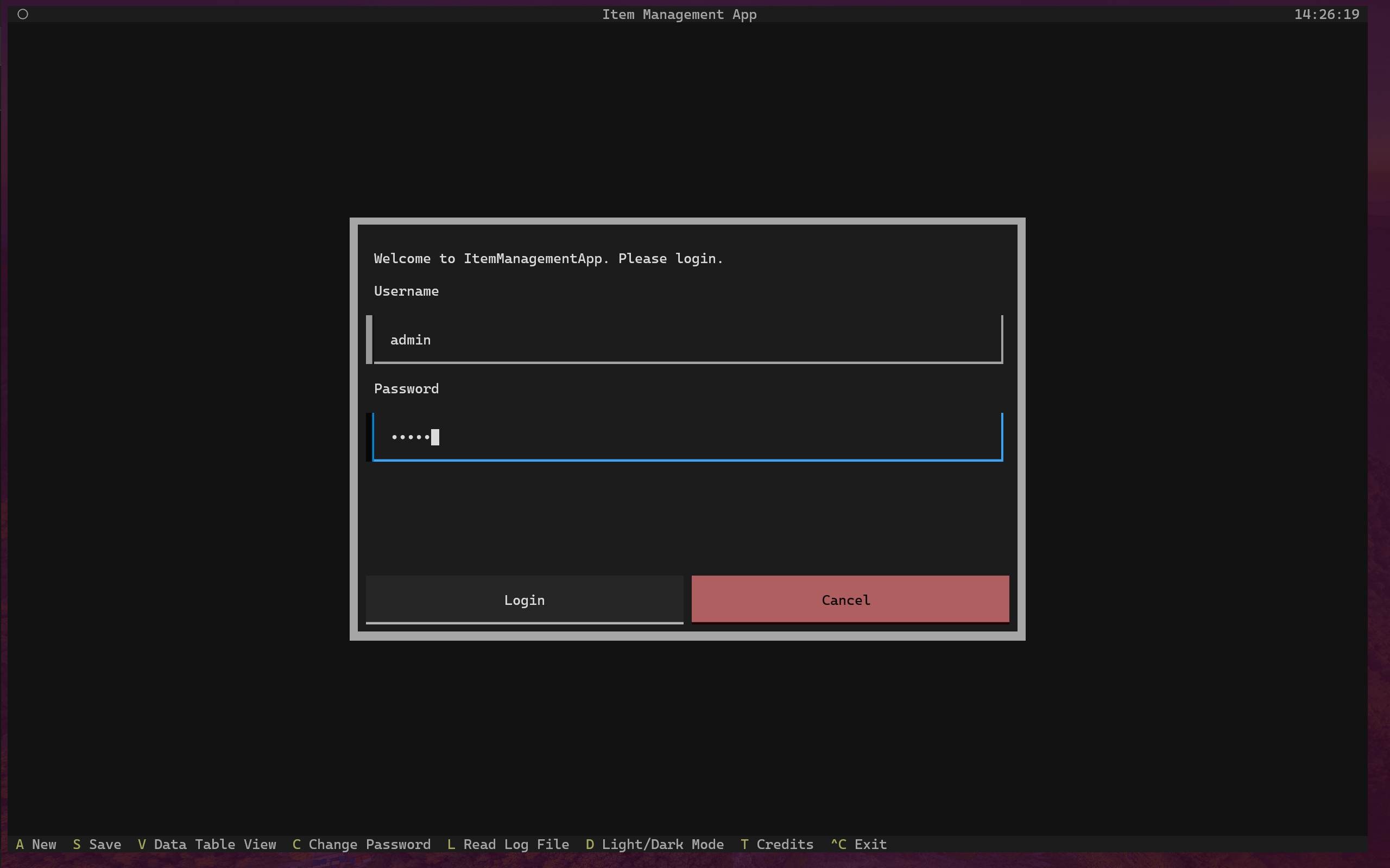 Python 课程设计项目报告